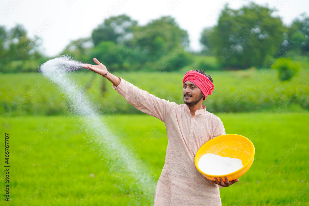 Indian farmer spreading fertilizer in the agriculture field. Stock ...