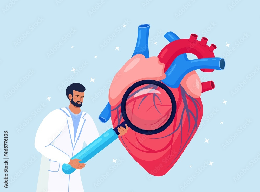 Cardiology. Check up of Heart Health and Cardiovascular Pressure ...