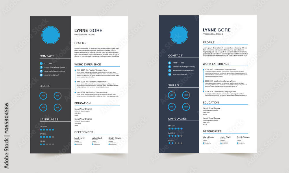 CV Resume template-stylish dark gray and blue design sample Stock ...