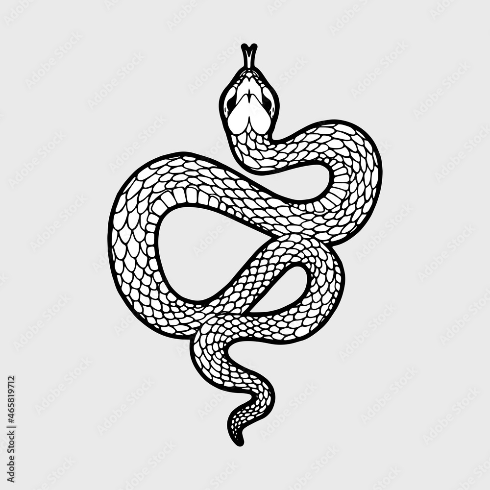 Snake outline Detailed hand drawn illustration magic snake Sketch ...