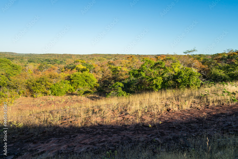 A view of the caatinga landscape in autumn (beginning of the dry season ...
