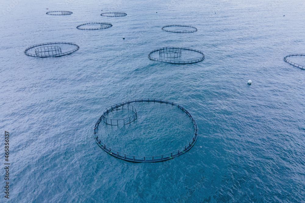 Fish farm with lots of fish enclosures in sea. Fish hatchery aerial ...