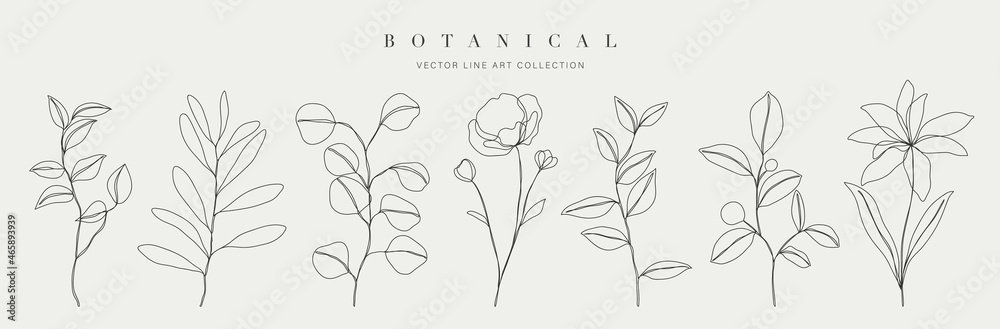 Botanical arts. Hand drawn continuous line drawing of abstract flower ...
