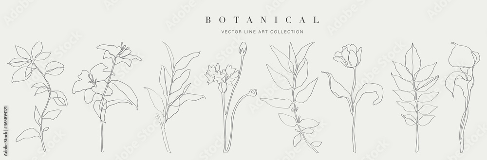 Botanical arts. Hand drawn continuous line drawing of abstract flower ...