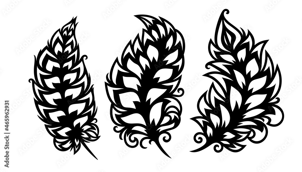 Set of three feathers. Fluffy stylized quill, decorative bird's pen ...
