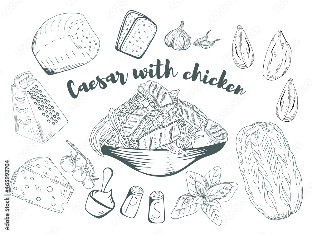 Caesar Salad Drawing