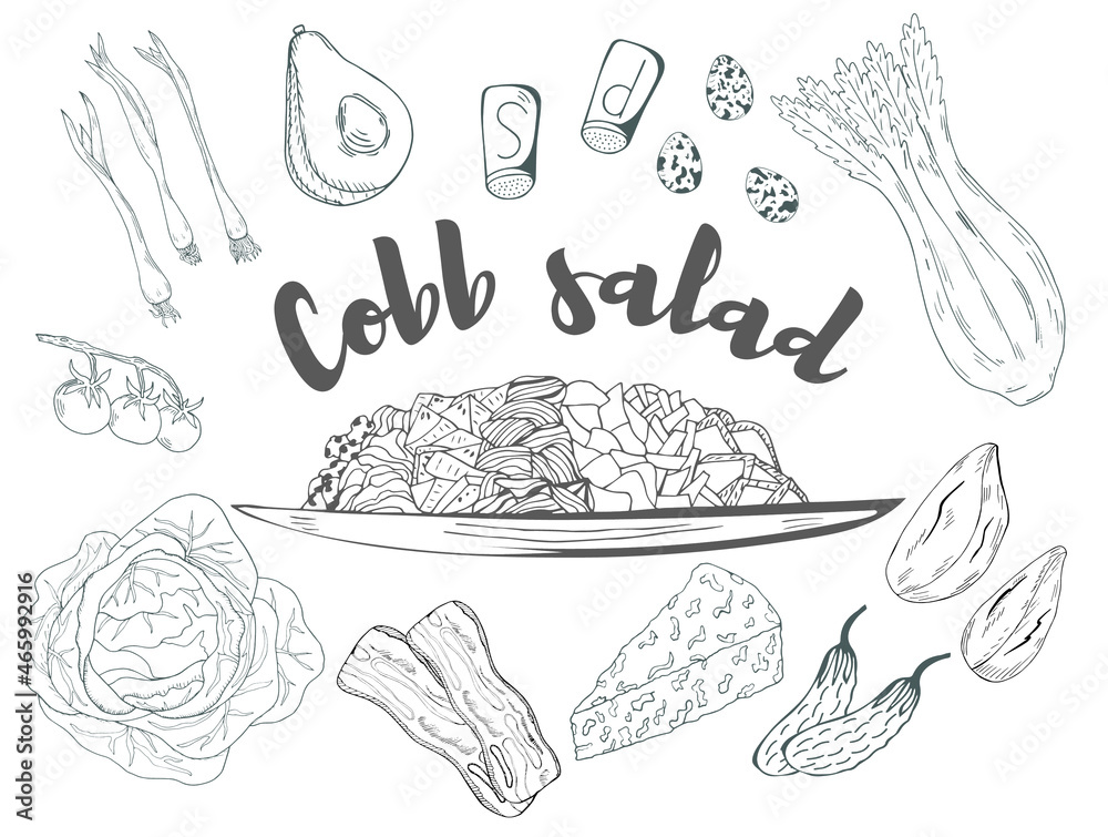 Cobb Salad served on plates with ingridients hand drawn with contour ...