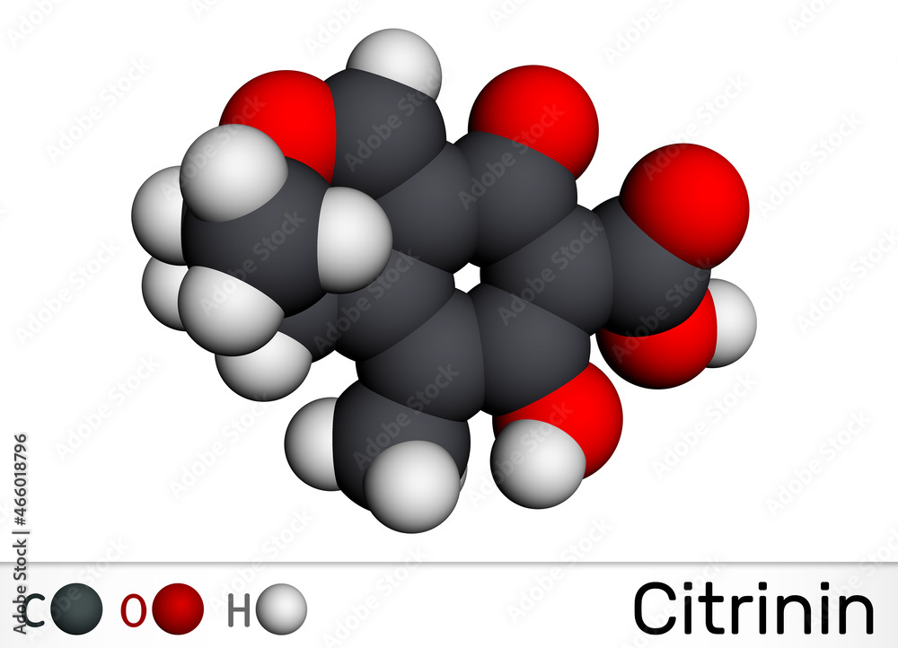 Citrinin Molecule It Is Antibiotic And Mycotoxin From Penicillium