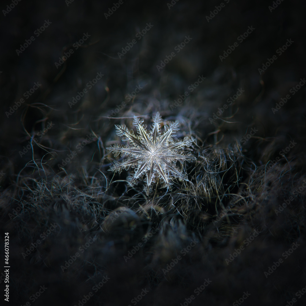 Snowflake glowing on dark textured background. Macro photo of real snow ...