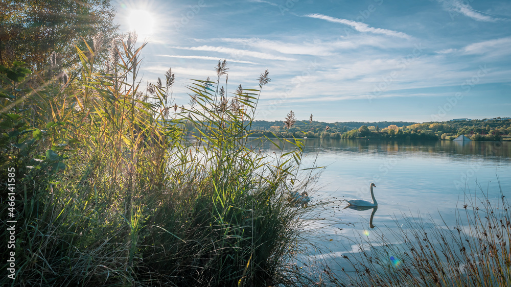 Étangs de Cergy Stock Photo | Adobe Stock
