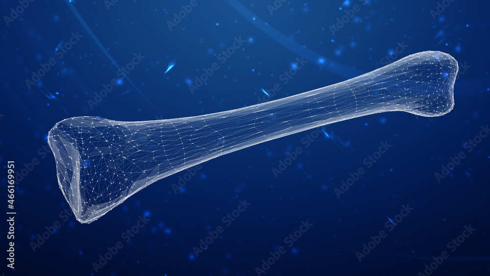 Transparent 3D wireframe of a human bone on abstract background with ...