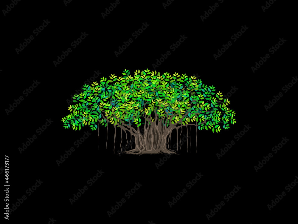 banyan tree vector with black background Stock Vector | Adobe Stock