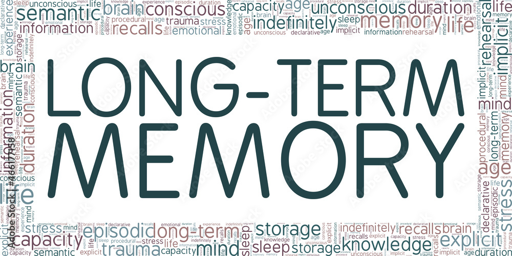 Long-Term Memory vector illustration word cloud isolated on white ...
