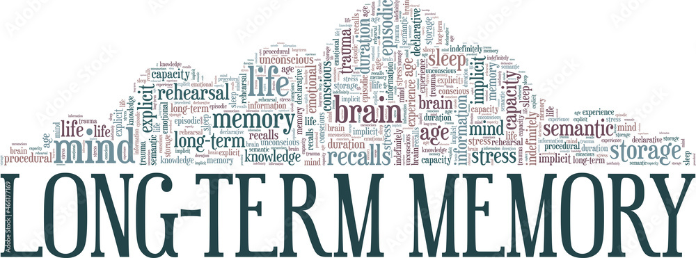 Long-Term Memory vector illustration word cloud isolated on white ...