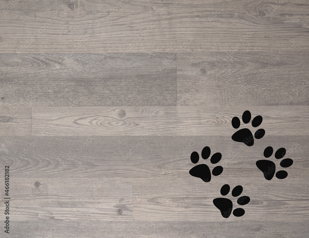 Wooden floor texture with paw prints pet animal with copy space for the ...