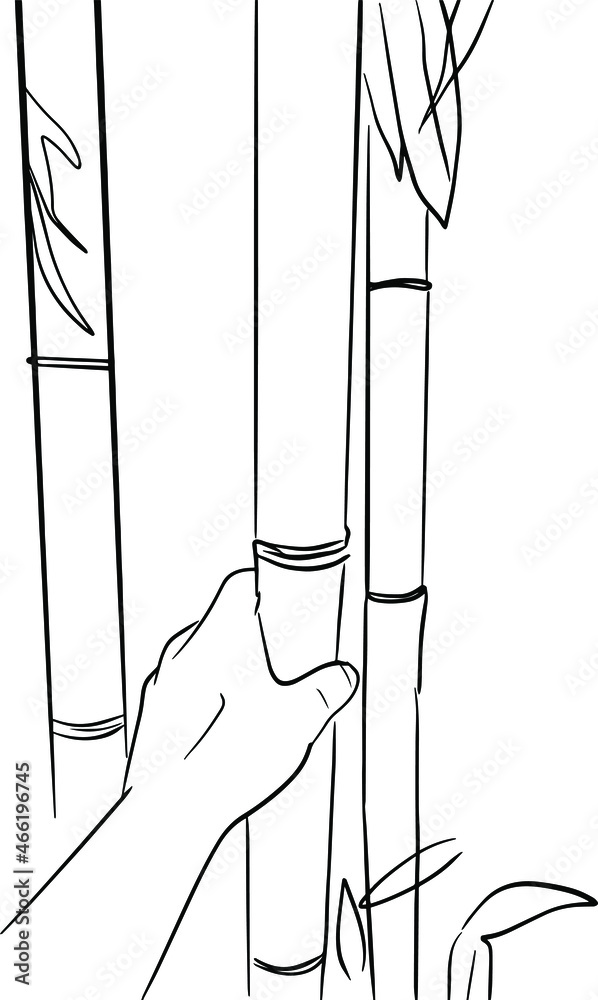 Outline sketch of bamboo stems with human hand touching it. Black and ...