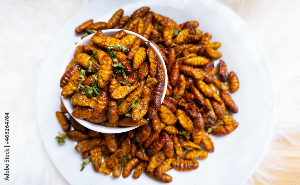 Crispy fried insects worm with salt , Close-up Oily taste and salty ...