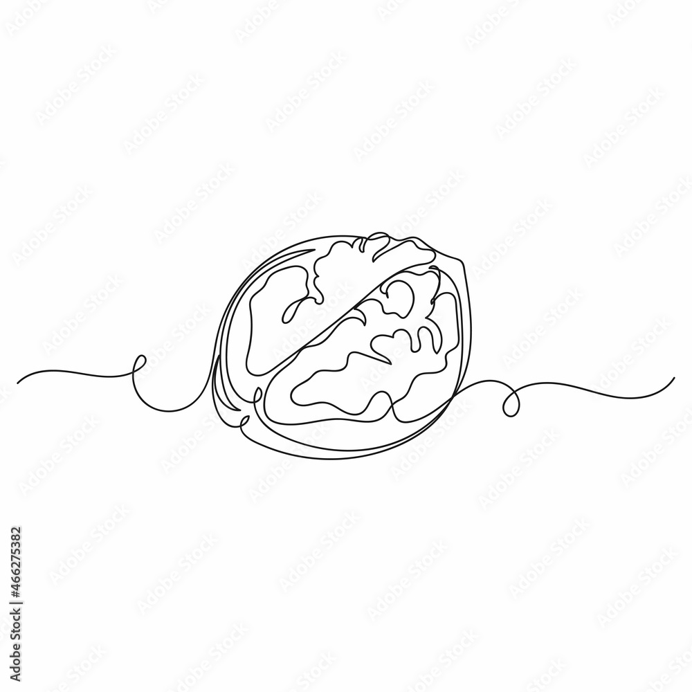 Vector continuous one single line drawing icon of beautiful walnut in ...