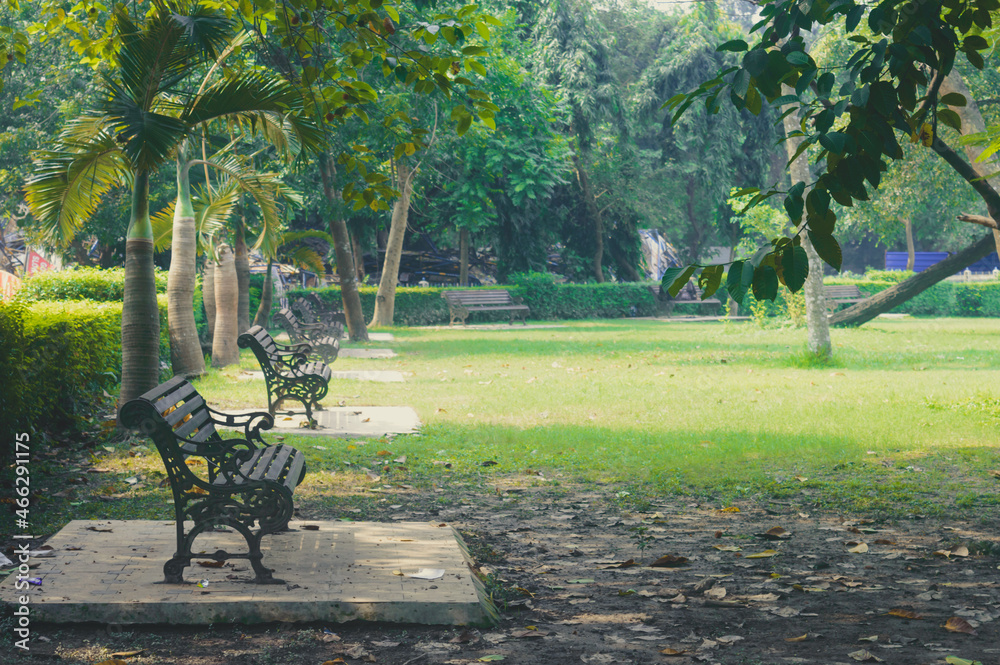 Empty Wooden-Iron With Arm Rest Park Bench in a green city park in ...