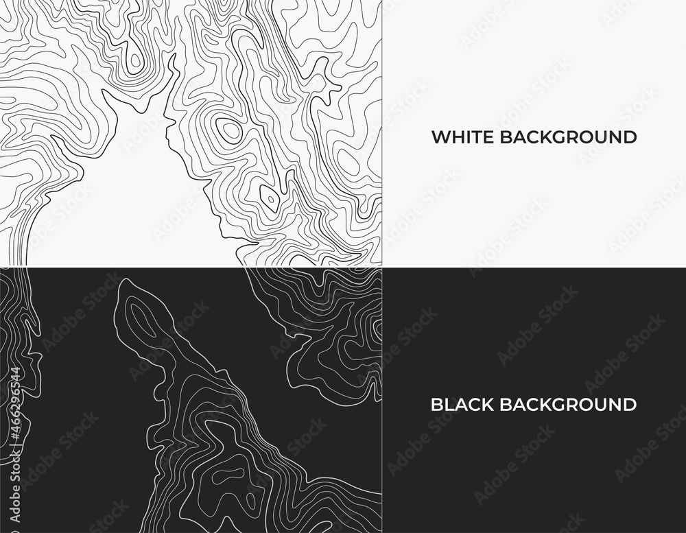 topographic map on white and black background. bay and peninsula ...