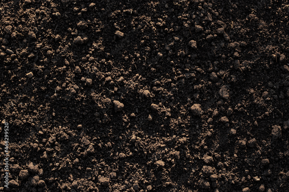 Fertile loam soil suitable for planting, soil texture background. Stock ...