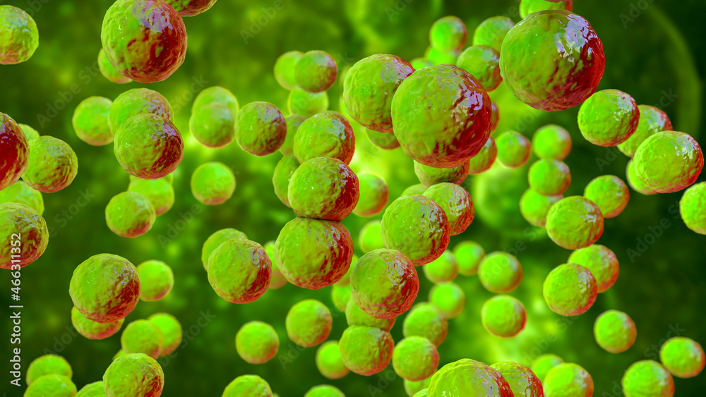 Bacteria Pediococcus, 3D illustration Stock Illustration | Adobe Stock