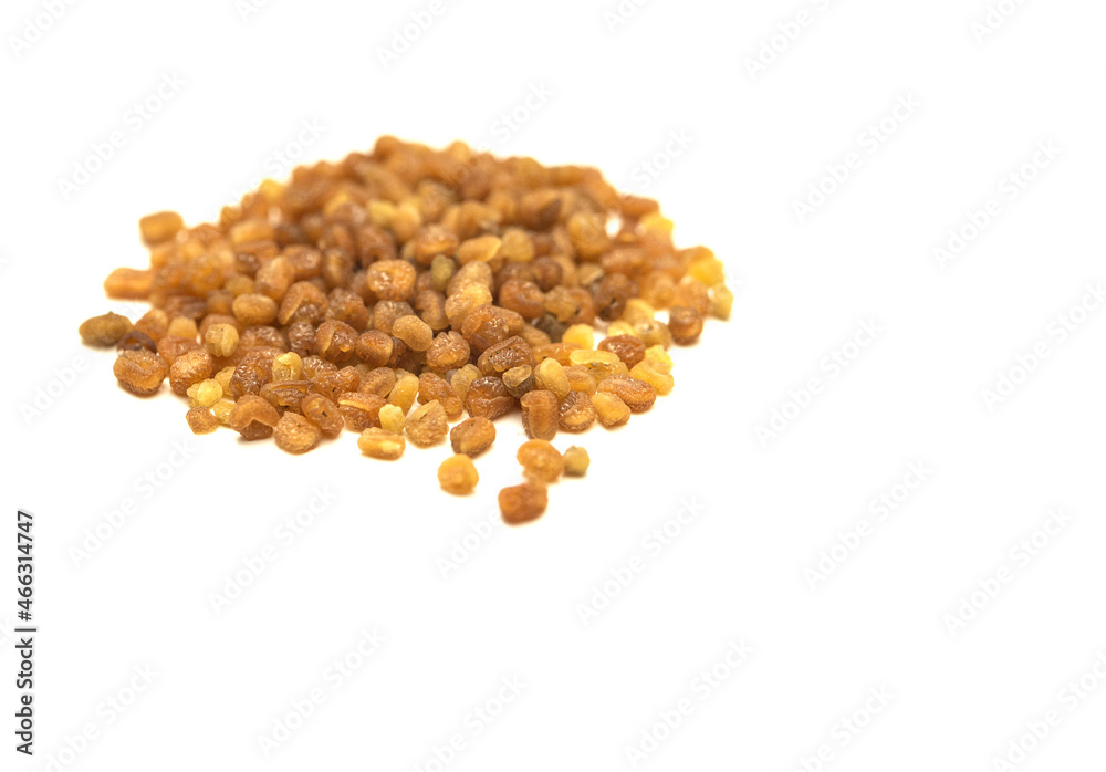 collection of andrographis paniculata seeds or kalmegh over white ...