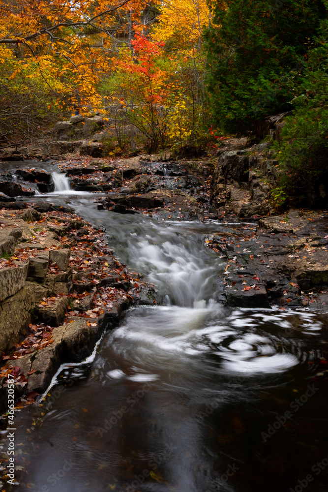 Acadia National Park, ME - USA - Oct. 15, 2021: Fall vertical long ...