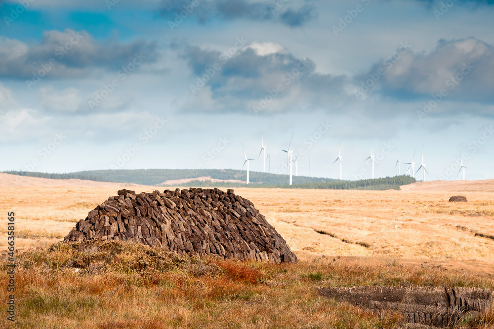 Big pile of turf drying in a field. Wind farm in the background. Warm ...