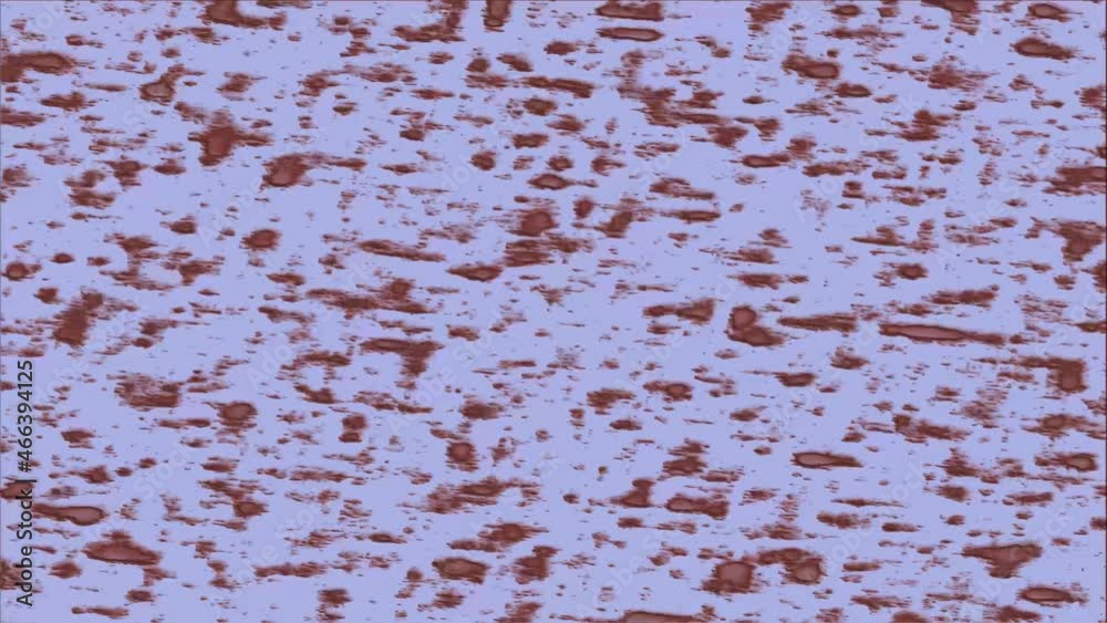 Blood under a microscope, the movement of red blood cells, cells that ...