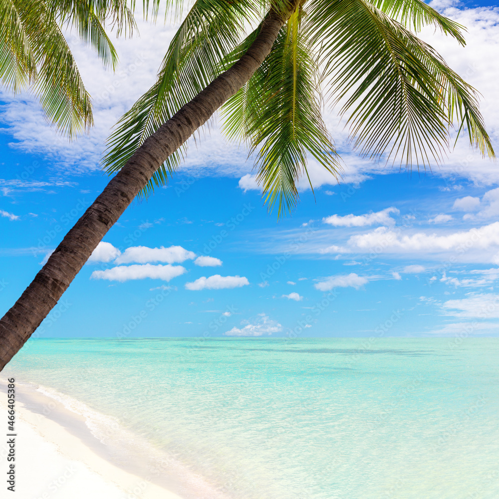 Tropical island beach view, green palm tree leaves, turquoise sea water ...
