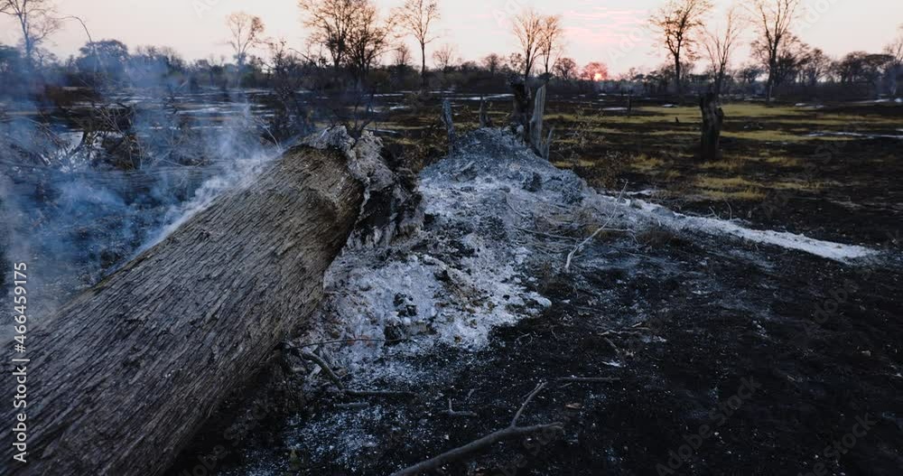Climate emergency.Climate change. Global warming.Panning close-up view ...