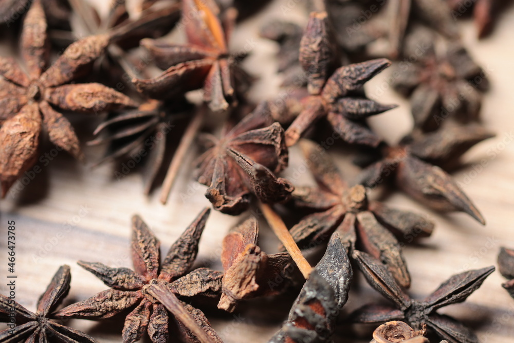 anis-estrelado, planta medicinal, nutrientes, propriedades terapêuticas ...