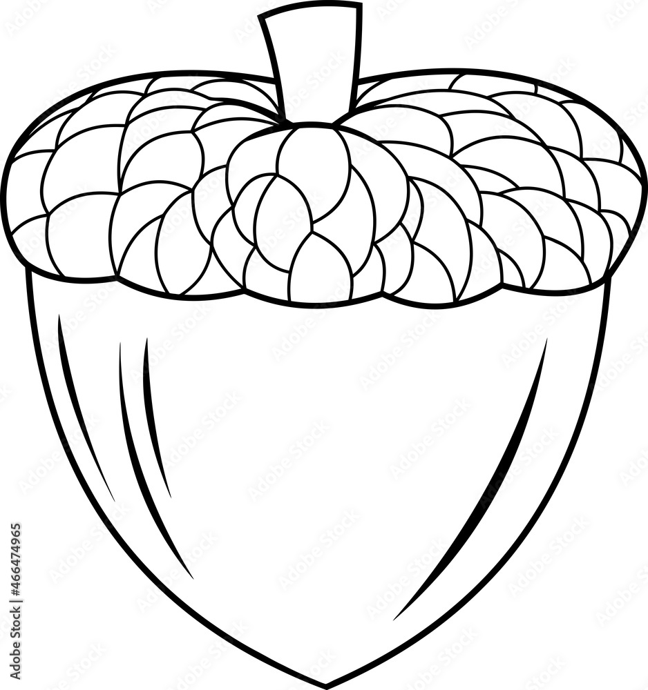 Outlined Cartoon Acorn In The Shell. Vector Hand Drawn Illustration ...