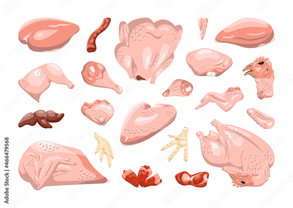 Collection of chicken parts in a realistic style. Chicken cut for shops ...