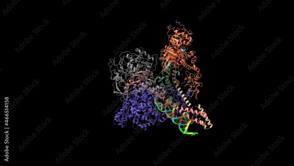 Structure of SARS-CoV-2 mini replication and transcription complex ...
