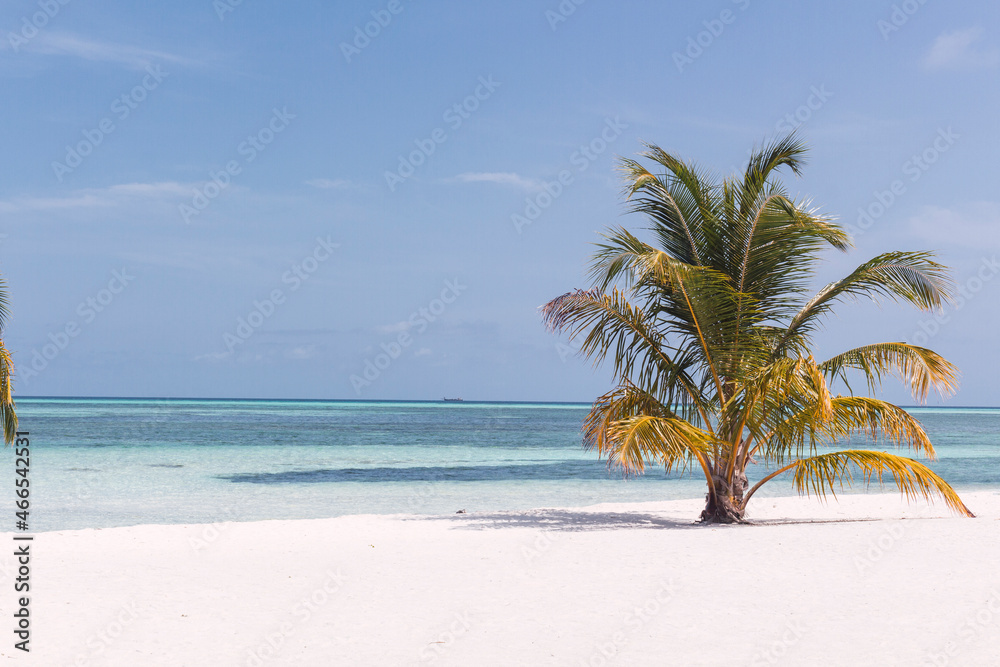 Playa paradisiaca soleada, agua cristalina y cielo azul Stock Photo ...