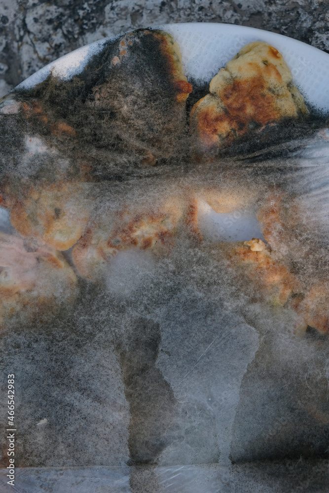 Fungal mold on pancakes. Growing mold on food. Spoiled food products ...