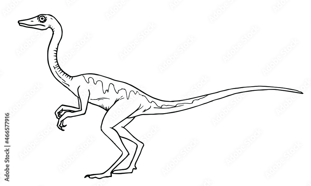 Procompsognathus dinosaur vector stock illustration. Stock Vector ...