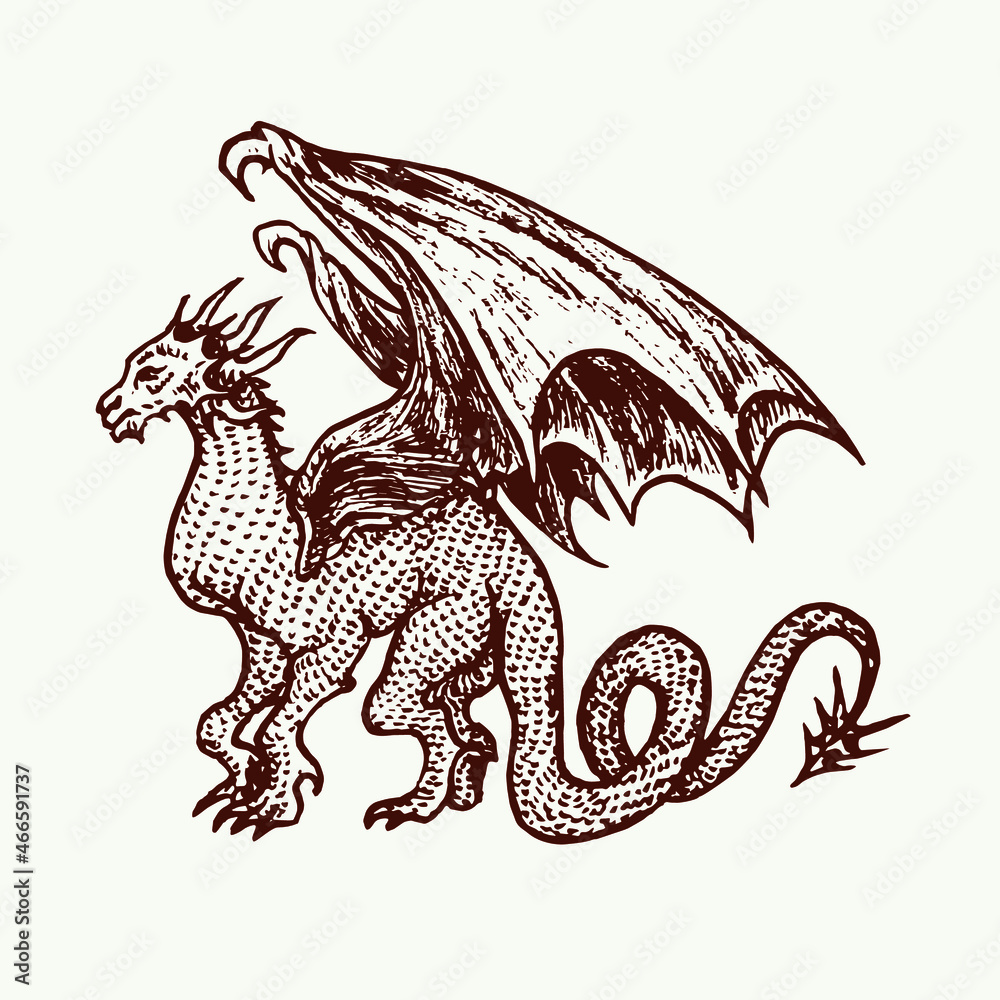 Dragon standing side view, large wings and long sharp tail, hand drawn ...