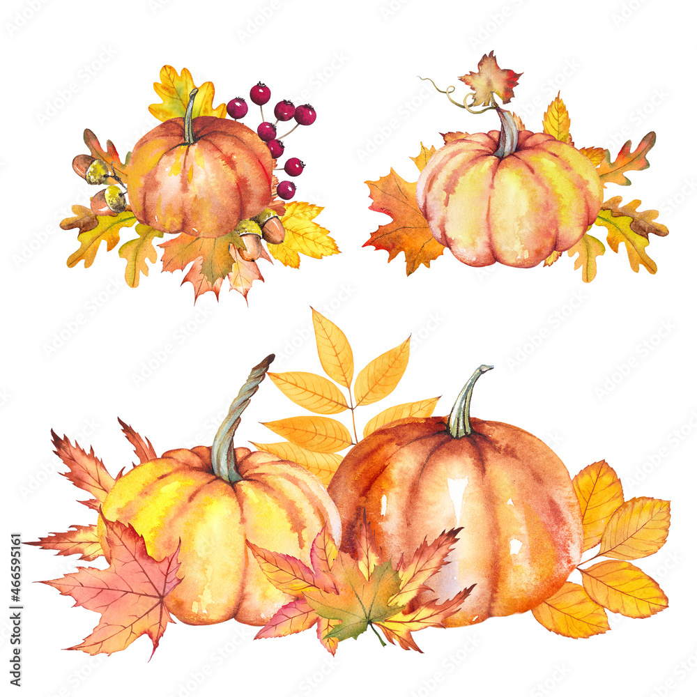 Colorful autumn pumpkins clip art. Watercolor illustration isolated on ...