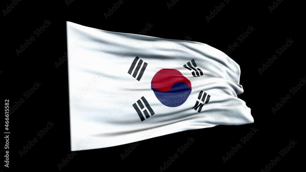 Realistic South Korea flag is waving 3D animation. National flag of ...