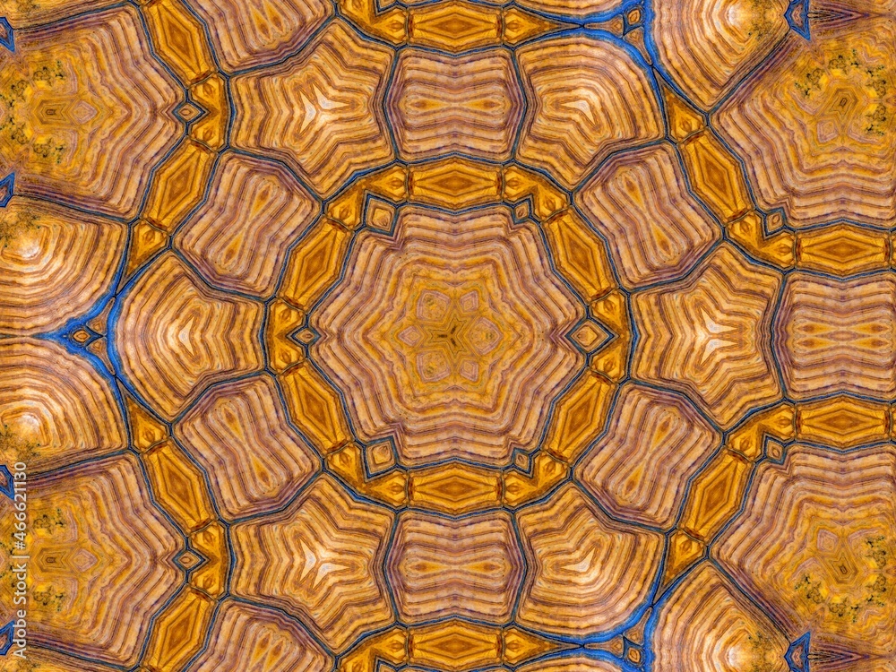 Turtle carapace, Close up texture and pattern of turtle shell in ...