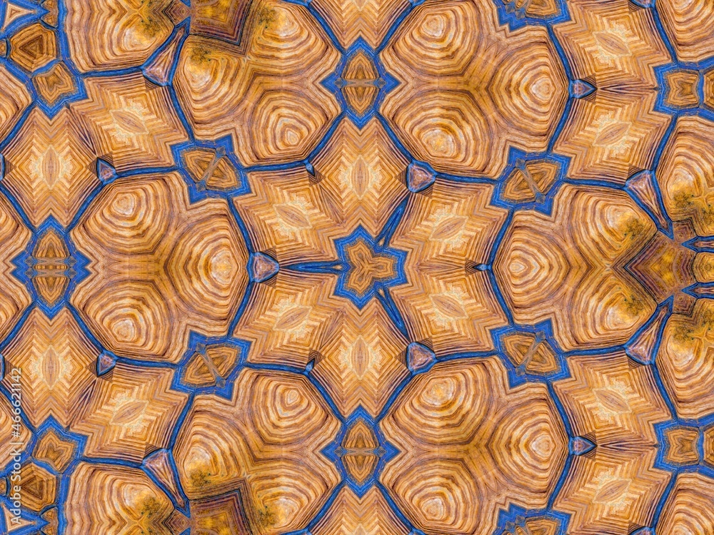 Turtle carapace, Close up texture and pattern of turtle shell in ...