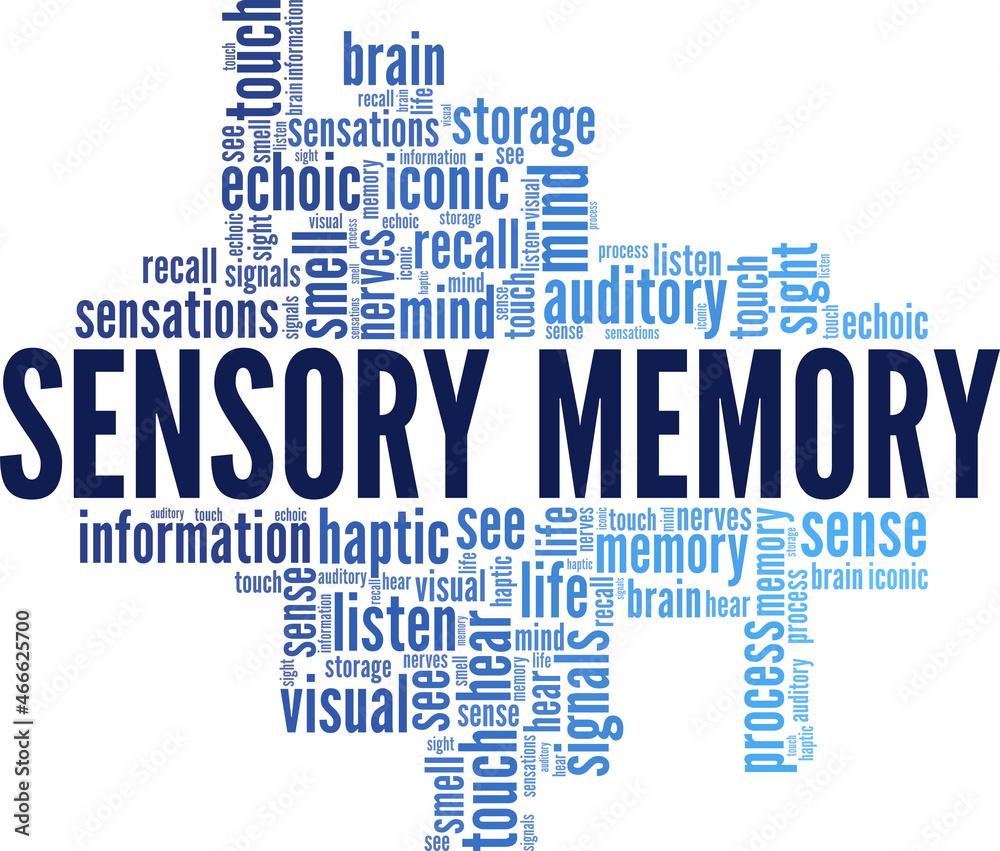 Sensory Memory