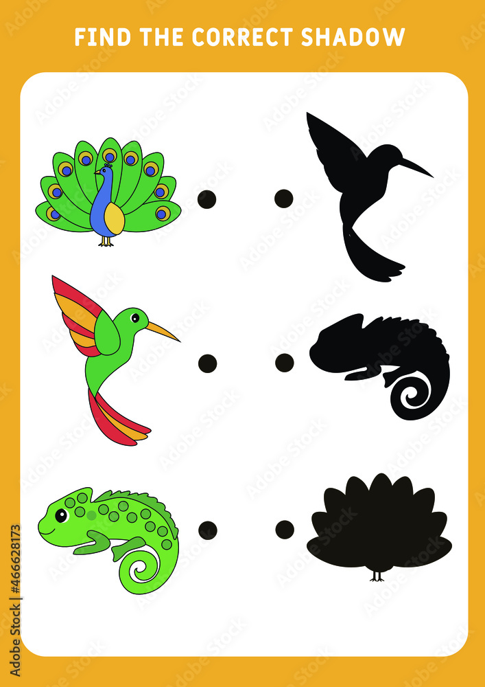 Find the correct shadow. Set - Peacock, Chameleon and hummingbird ...