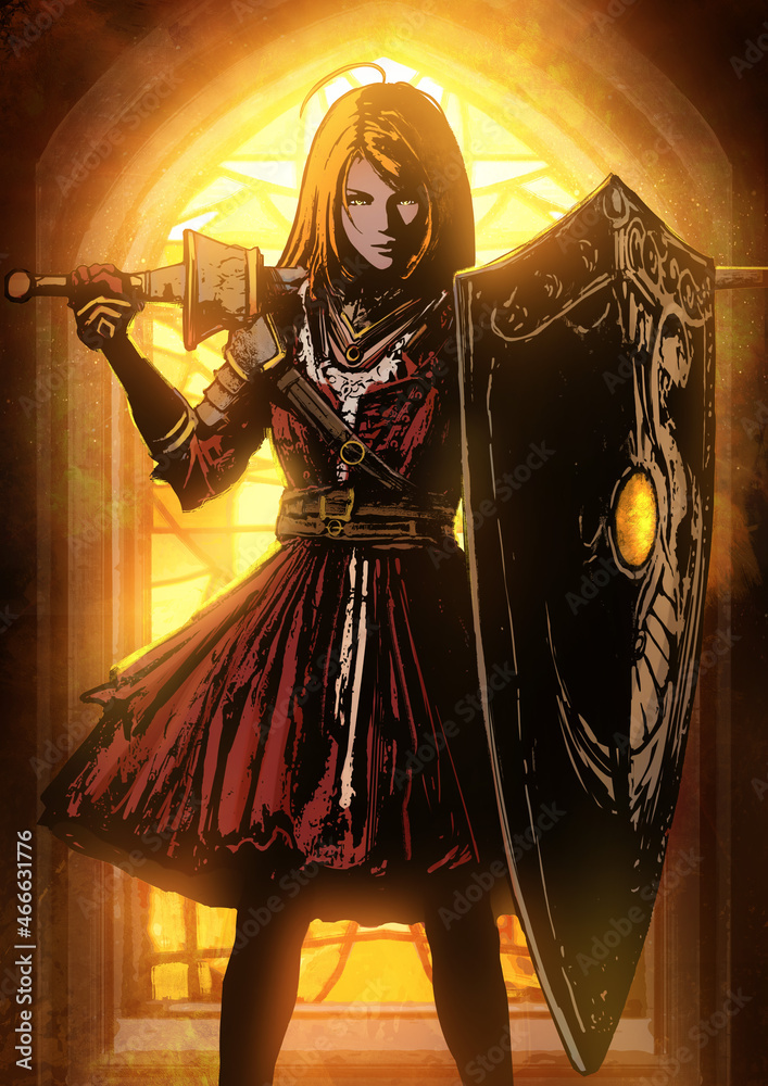 A young knight girl in a dress, with a large shield in one hand and a ...