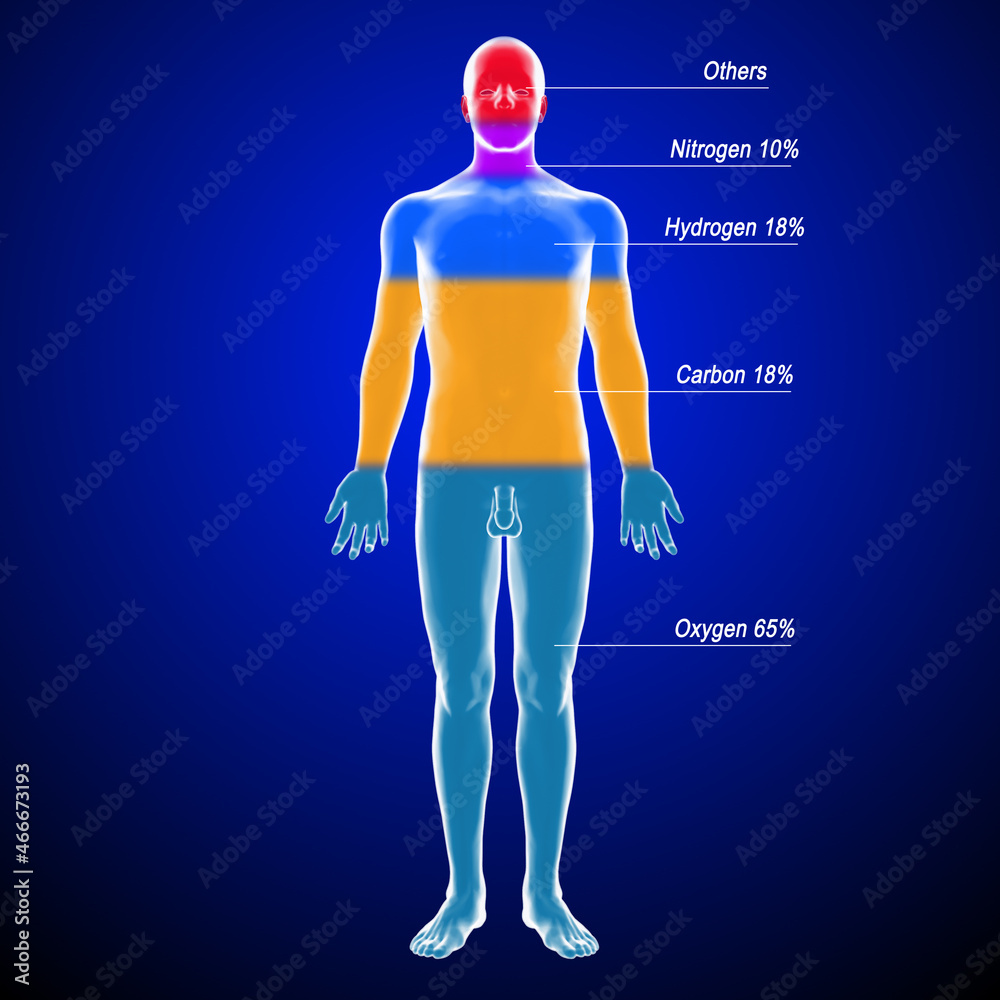 Almost 99% of the mass of the human body is made up of six elements ...