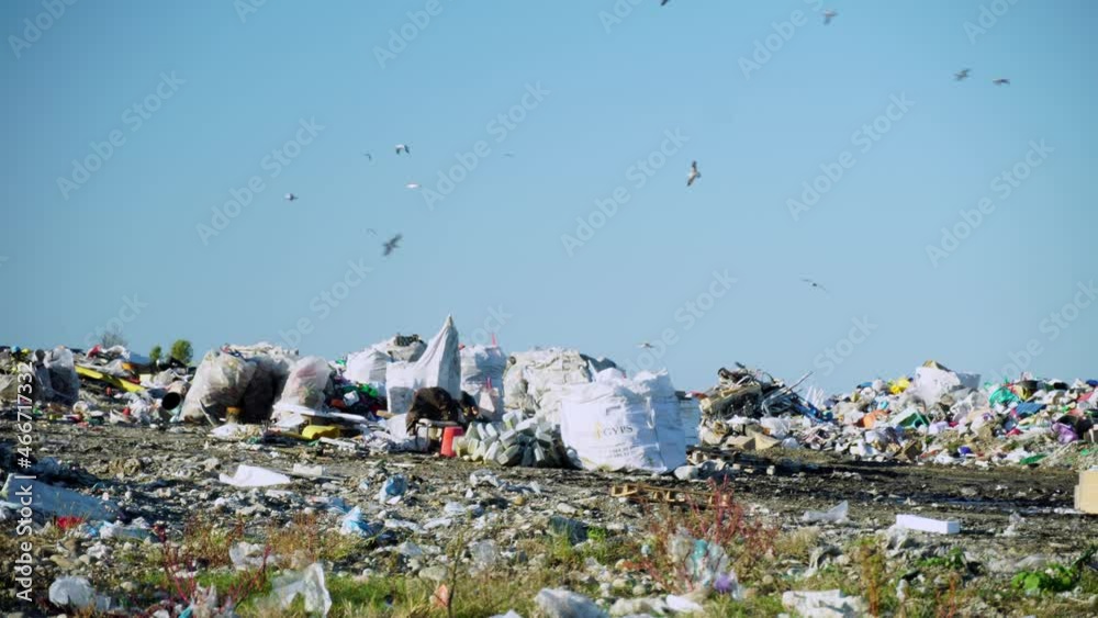 Garbage dump. Skyscrapers, a construction site with a crane and the ...