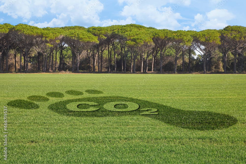 Carbon footprint concept with CO2 text against footprint in grass shape ...